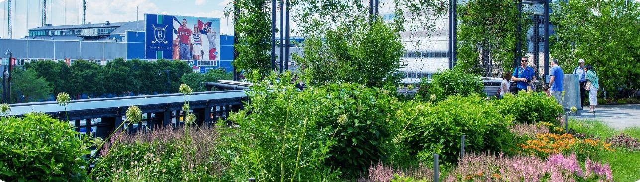The High Line NYC: A Green Urban Park That Heals the City